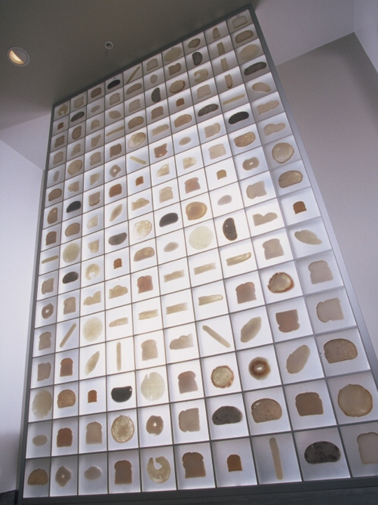 Portfolio - Andy Yoder