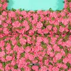 Flower Art | Andy Yoder